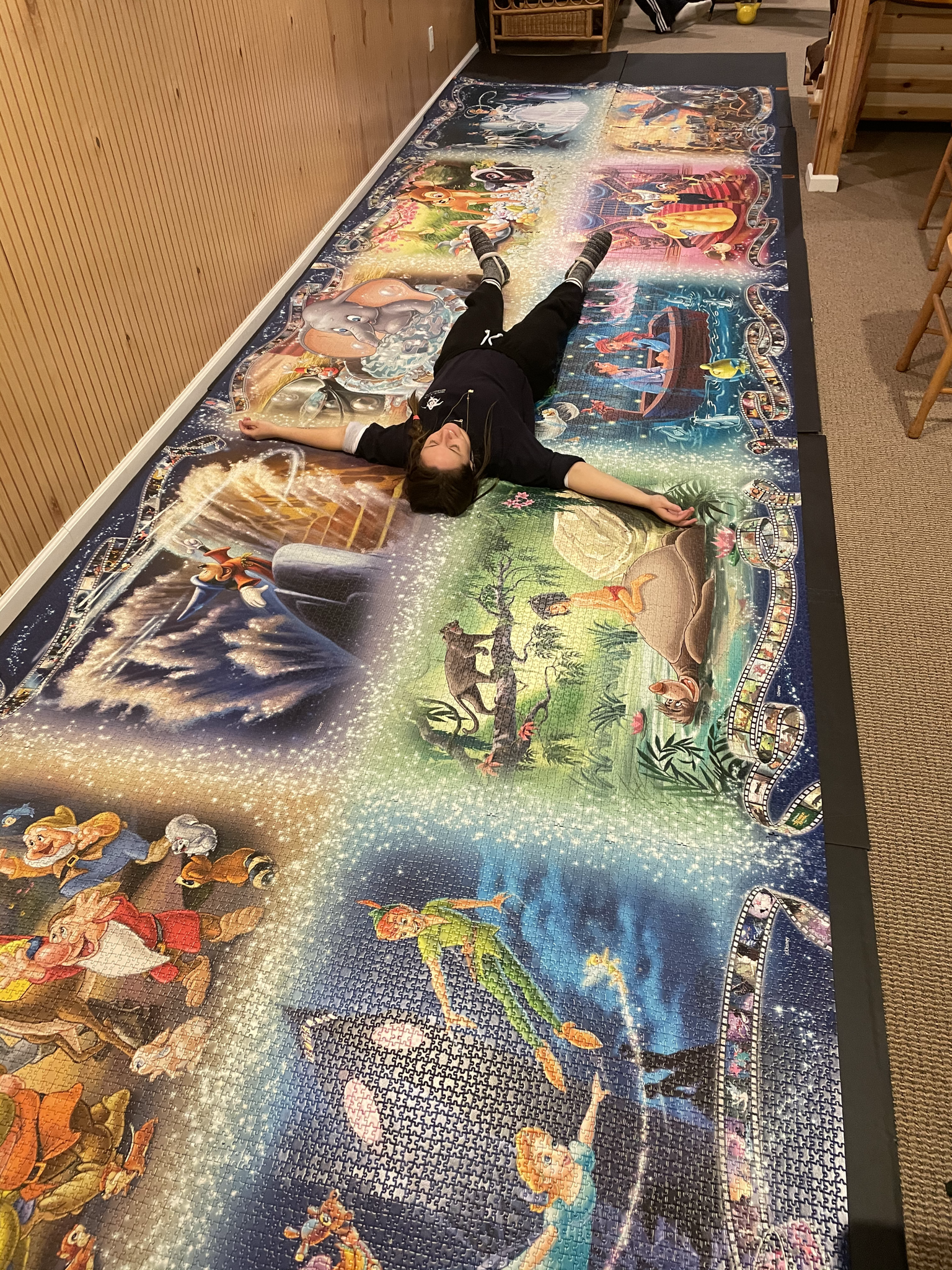 Listen While You Puzzle: Dakota's 40,000 Piece Project - Penguin Random ...